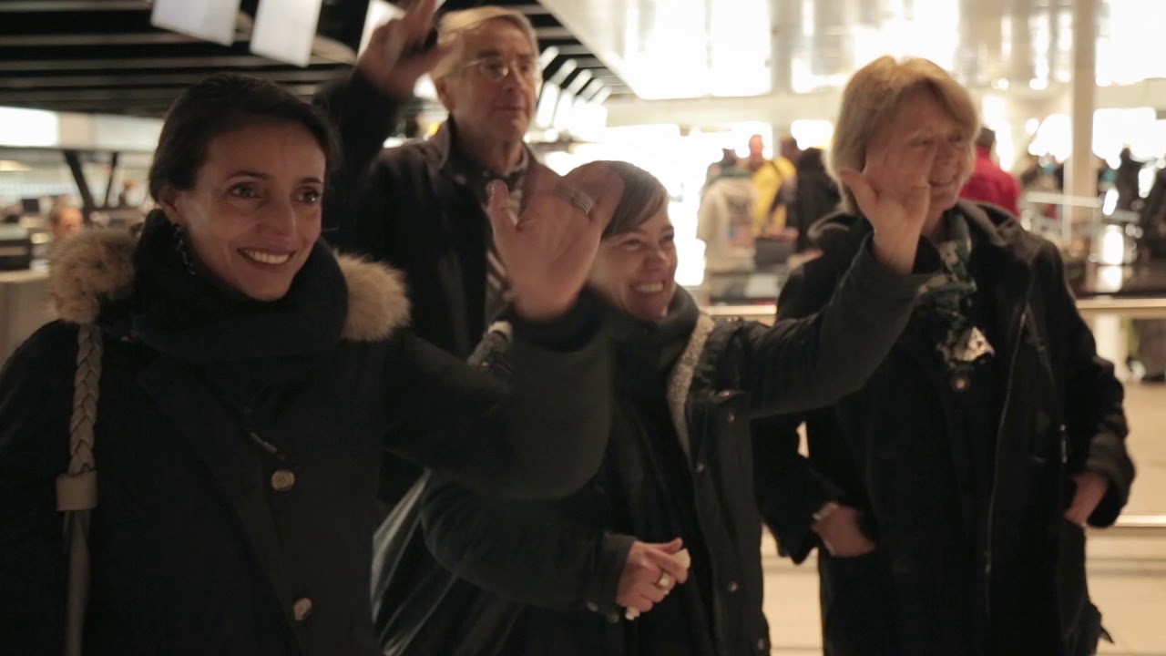 Finding Farideh Official Trailer 2018 - YouTube