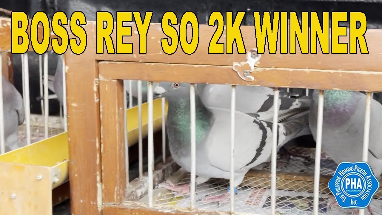 2K & SUPERSER WINNER OF BOSS REY SO - YouTube
