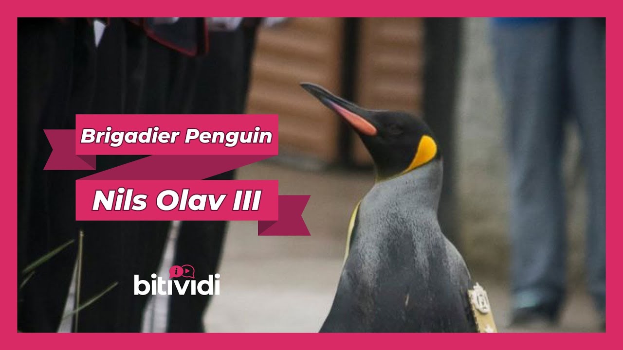 Brigadier Sir Nils Olav III - YouTube