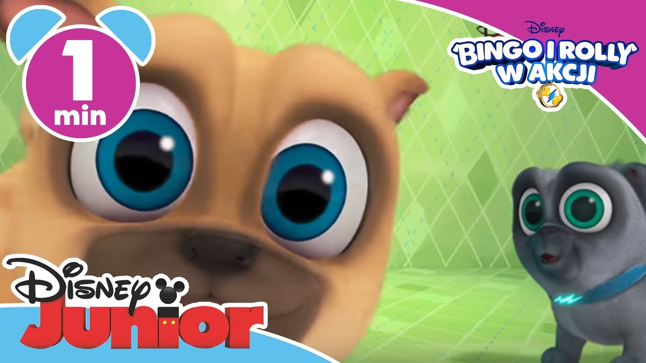 Bingo i Rolly w akcji! Nowy serial Disney Junior! - YouTube