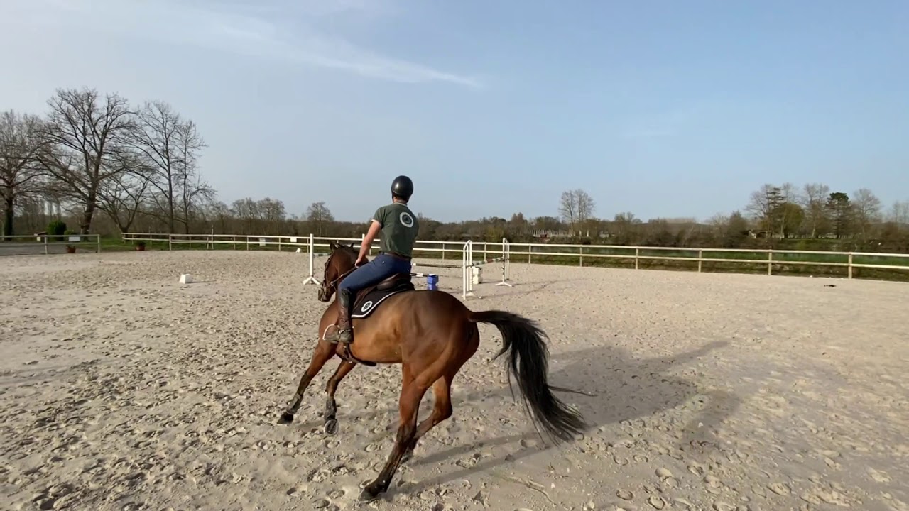 TUTO - Donner de la rectitude et de la réactivité - YouTube