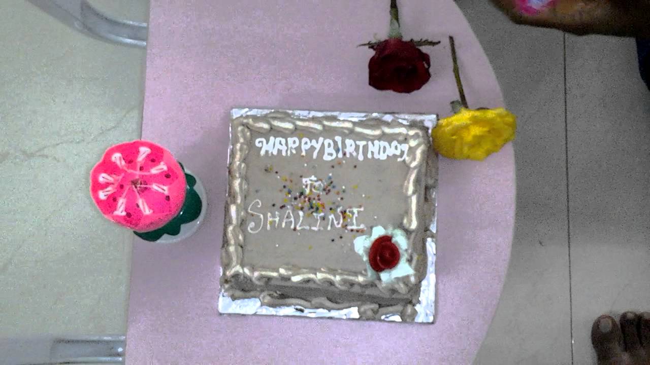 Mutta Goose Birthyday Video 1 - YouTube