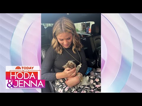 Jenna Bush Hager reveals family kitten's name