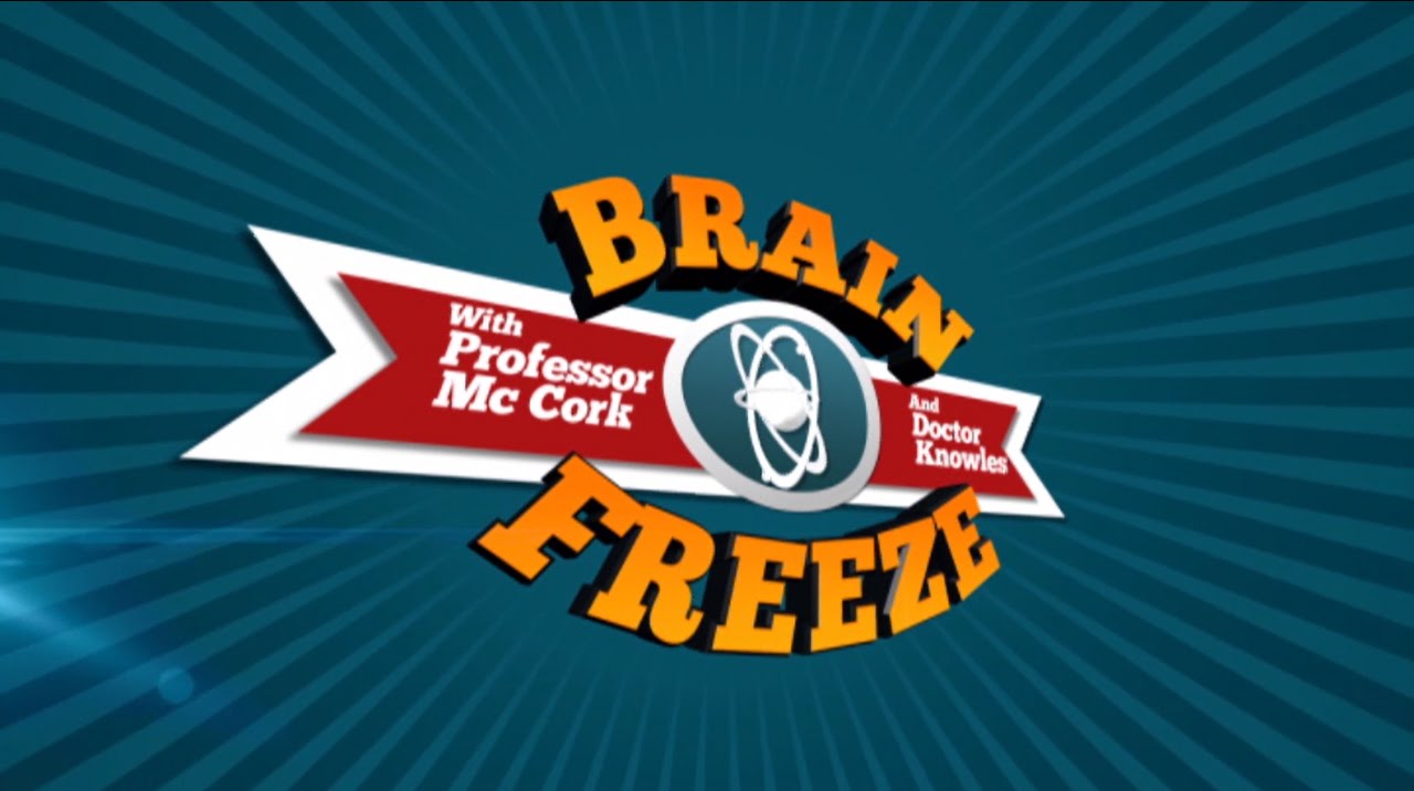 Brain Freeze: Is it True a Bee Dies After it Stings? | @RTE Kids - YouTube