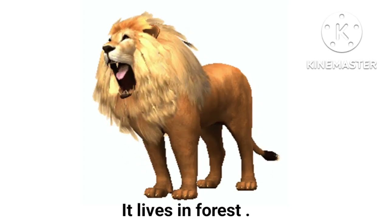 about lion in english | essay on lion | ten lines on lion || about lion ...