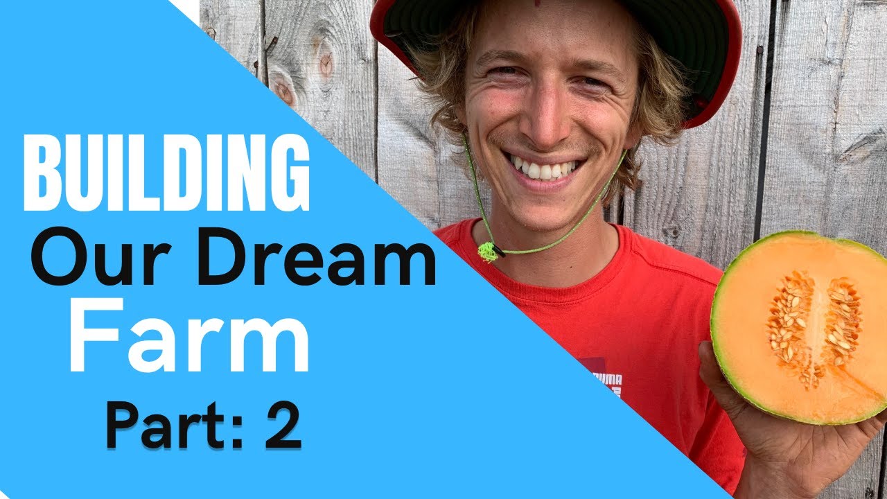 Vegetable Farm Start up story, Organic (Part:2) - YouTube