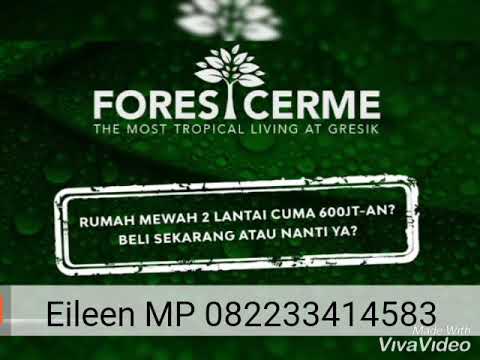 Forest Cerme - YouTube