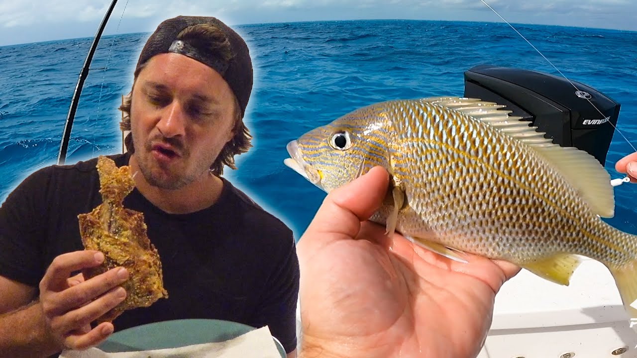 Deep Fried Grunt {Try THIS!} catch and cook - YouTube