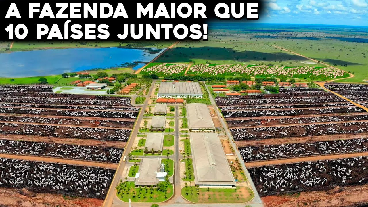 ESSA É A NOVA MAIOR FAZENDA DO BRASIL? MAIOR QUE 10 PAÍSES JUNTOS ...