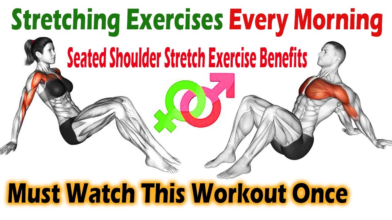 Seated Shoulder Flexor Depresor Retractor Stretch Bent Knee | Seated ...