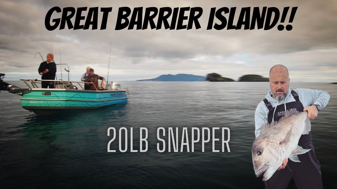 Great Barrier Island!! Soft Baiting and Exploring the HAURAKI GULF, NZ ...