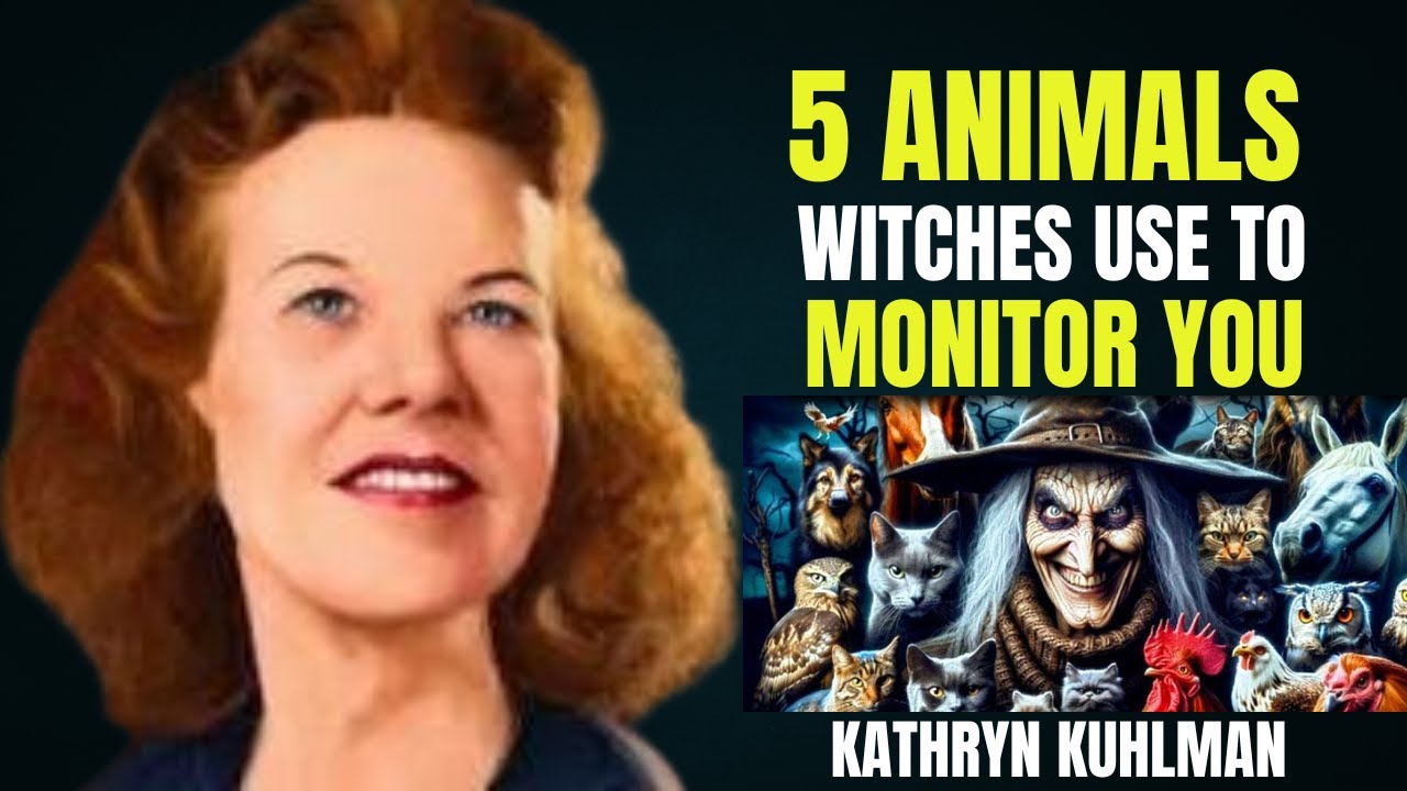 5 Animals Species Witches Use To Monitor You || Kathryn Kuhlman ...
