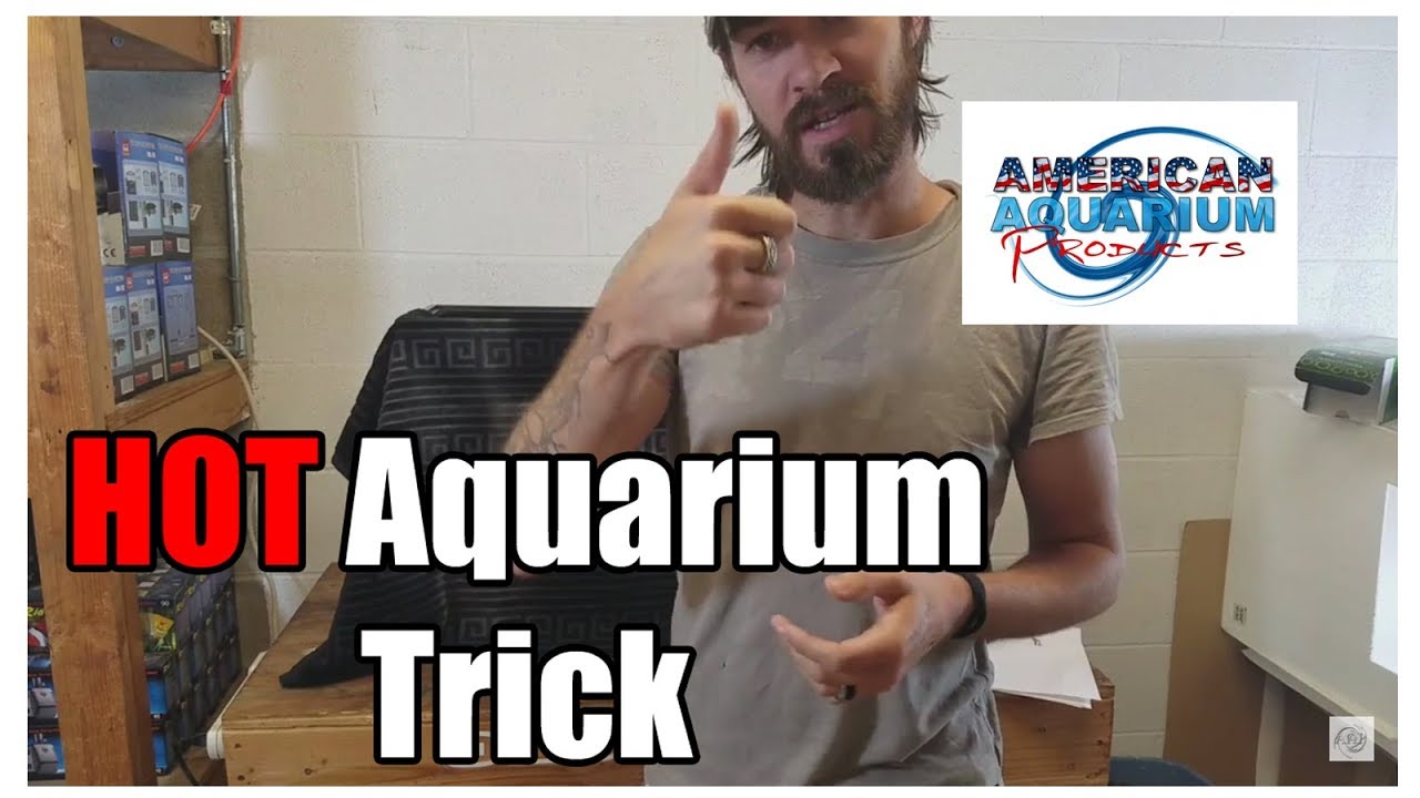 #1 Tip- Fish Tank Water Too Hot! | How to Lower Temperature - YouTube