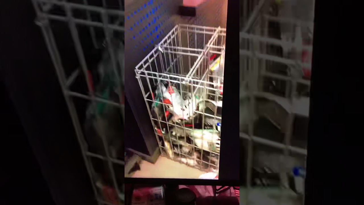 Blood gang member start crying After getting pulled up on for running ...