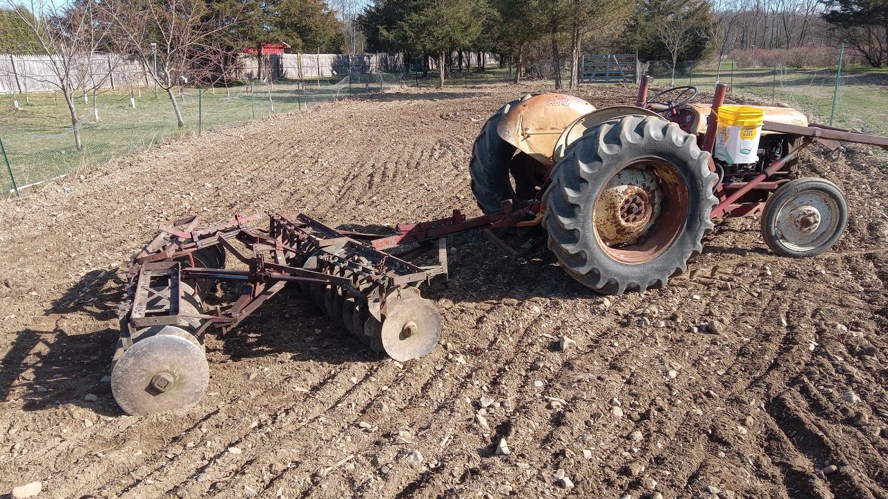8N ford tractor disc harrowing - YouTube
