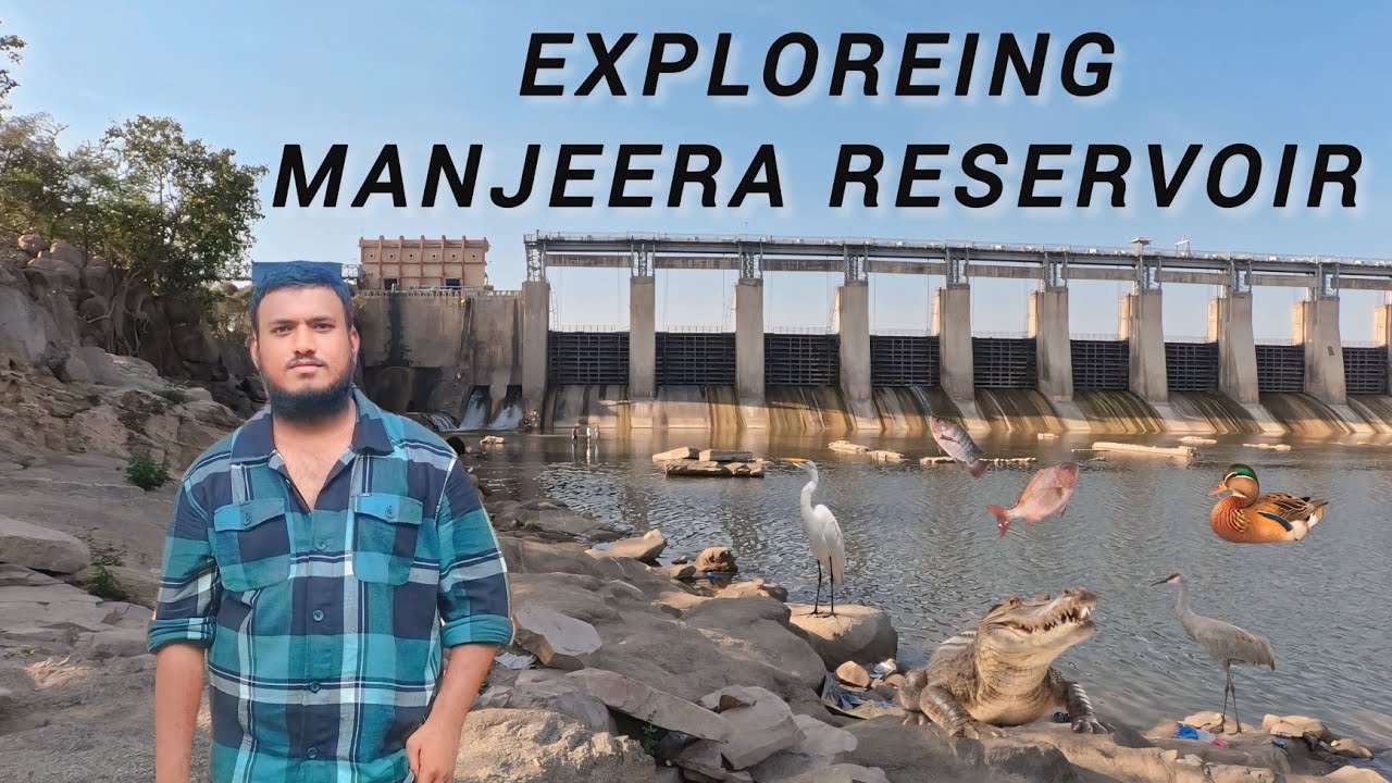Manjeera Dam|Manjeera Wild Life Sanctuary|Environmental Education ...