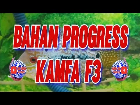 Kamfa F3 size -+8cm - YouTube
