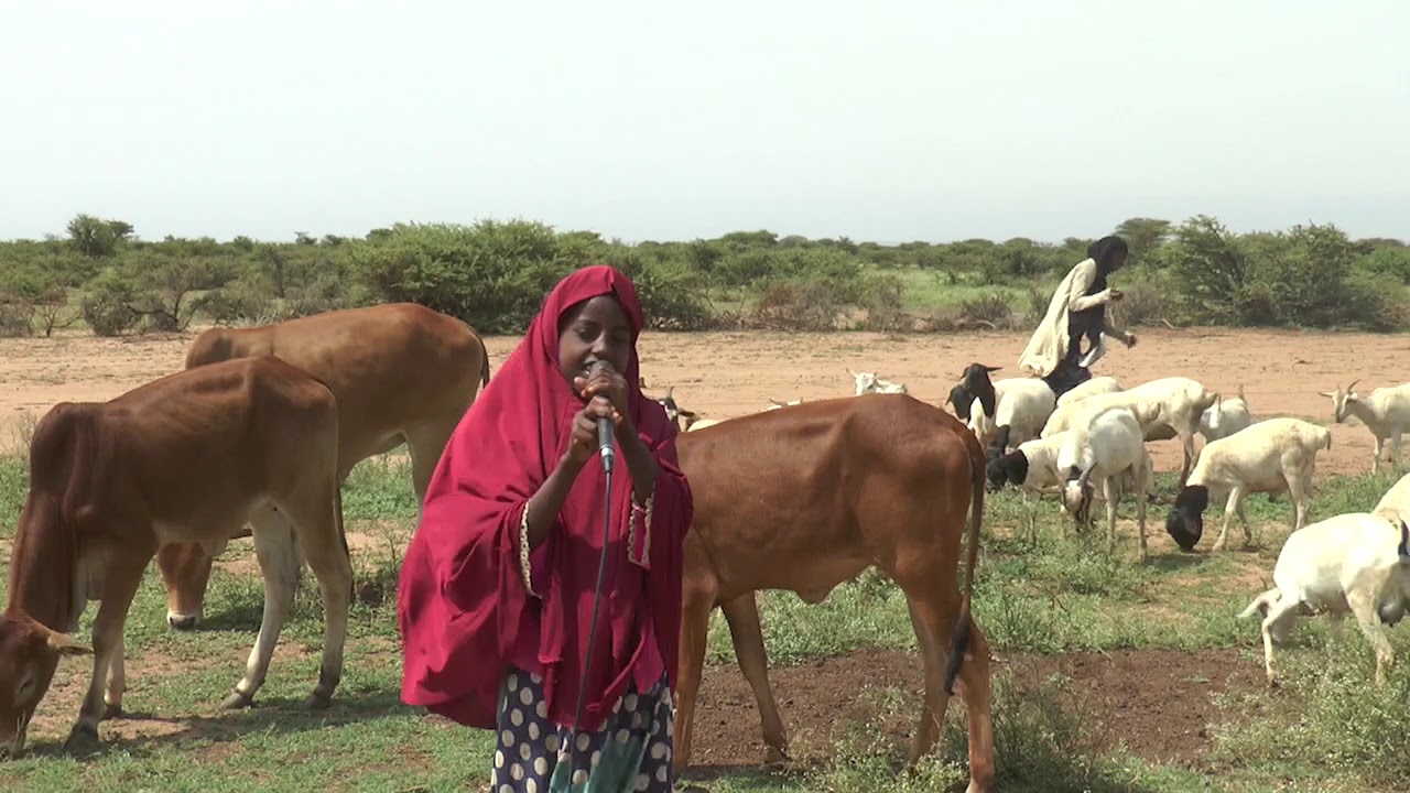 Maashaa Allaah Walaashay Qaali Qalbiga Ayaad Kutaalaa - YouTube