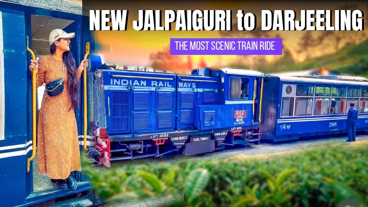 FIRST CLASS Journey: NEW JALPAIGURI to DARJEELING TOY TRAIN: India’s ...