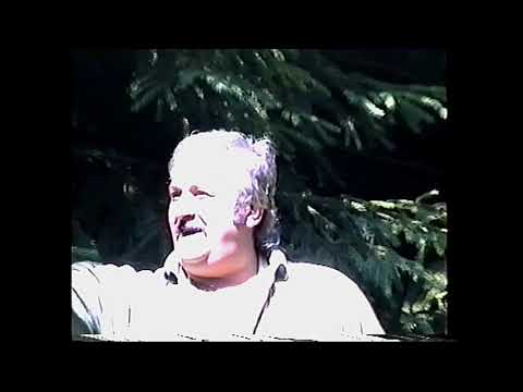 Traian Barbu Frunza verde brad frumos - YouTube