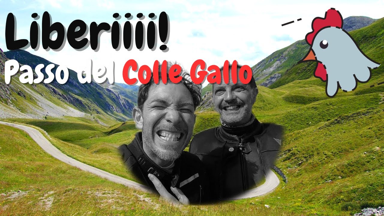 Colle gallo fermo - YouTube