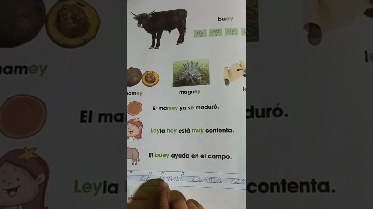 Lección ay ey oy uy - YouTube