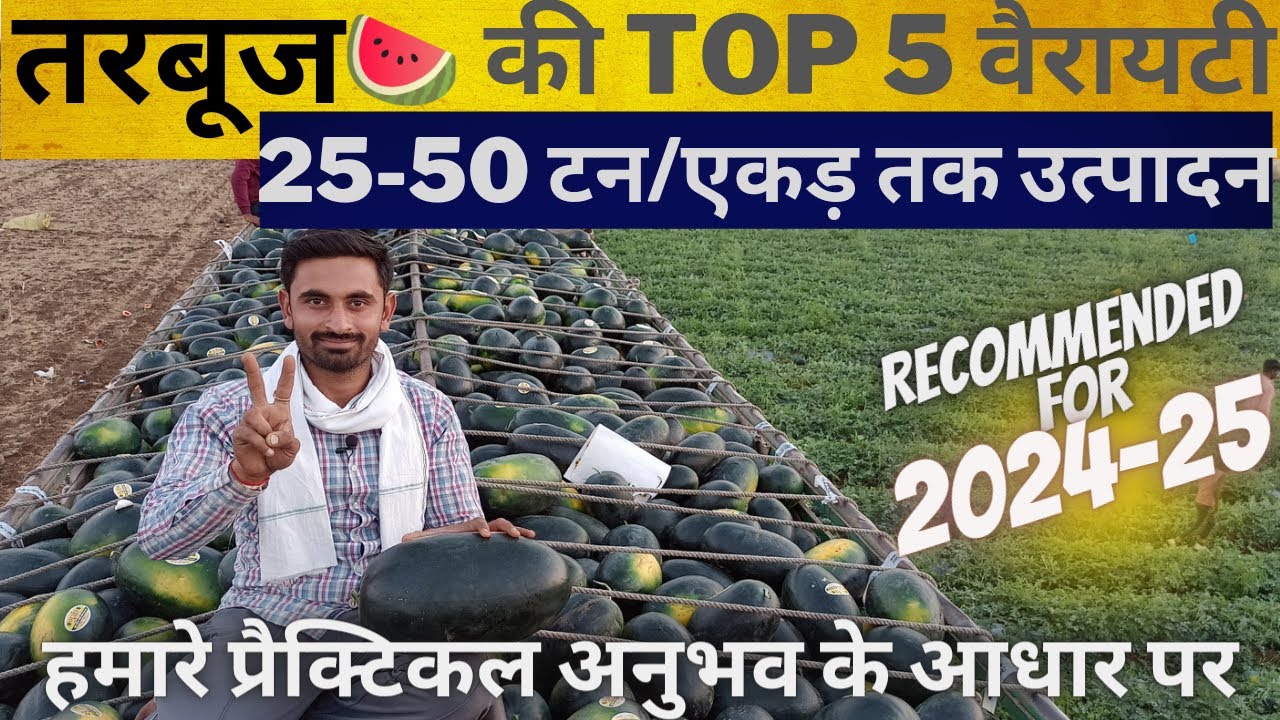 tarbuj🍉 ki top 5 variety | तरबूज की टॉप 5 वैरायटी | watermelon farming ...