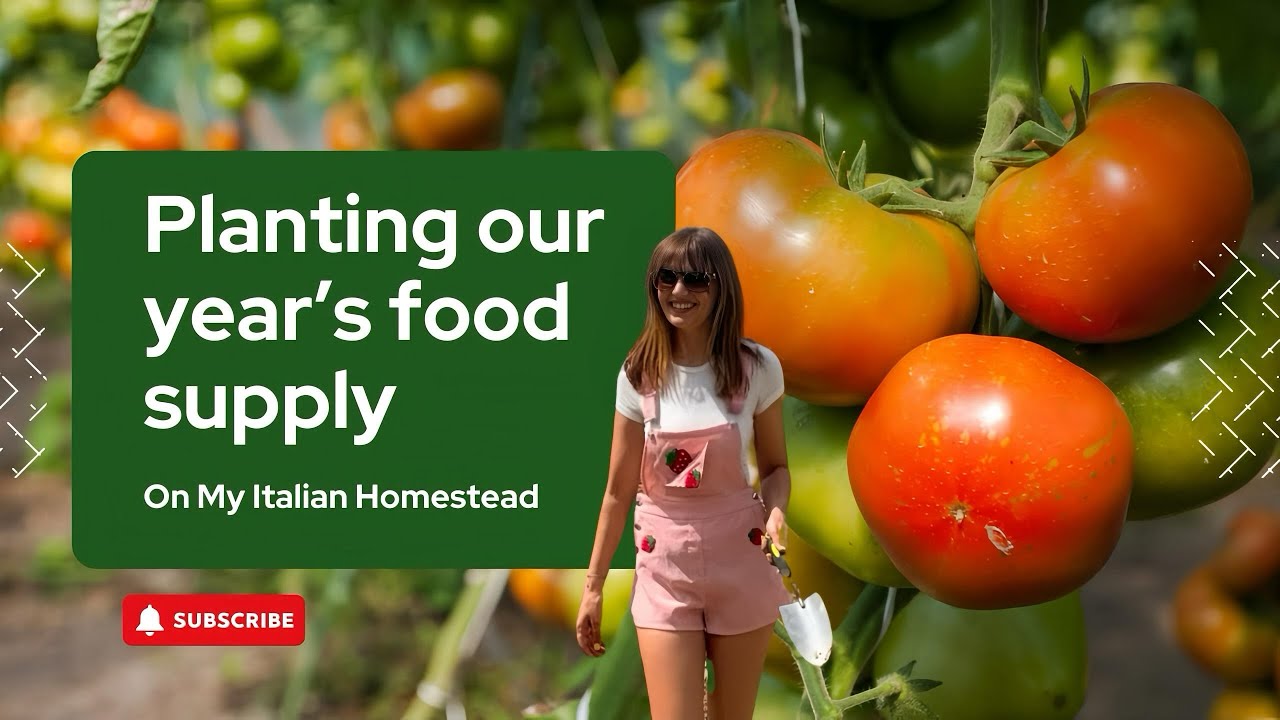 Planting Our Year's Food Supply on My Italian Homestead - YouTube