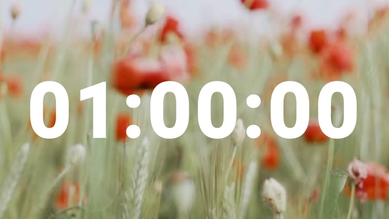 1 Hour (60 Minute) Timer with Soothing Music | Stress Relief Countdown Clock - YouTube