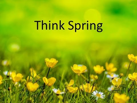 Think Spring - YouTube