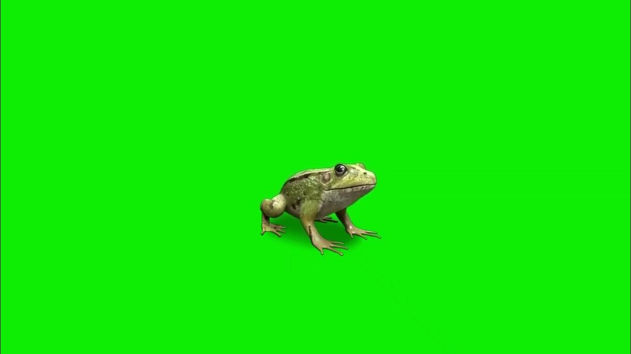 Frog/green screen. - YouTube