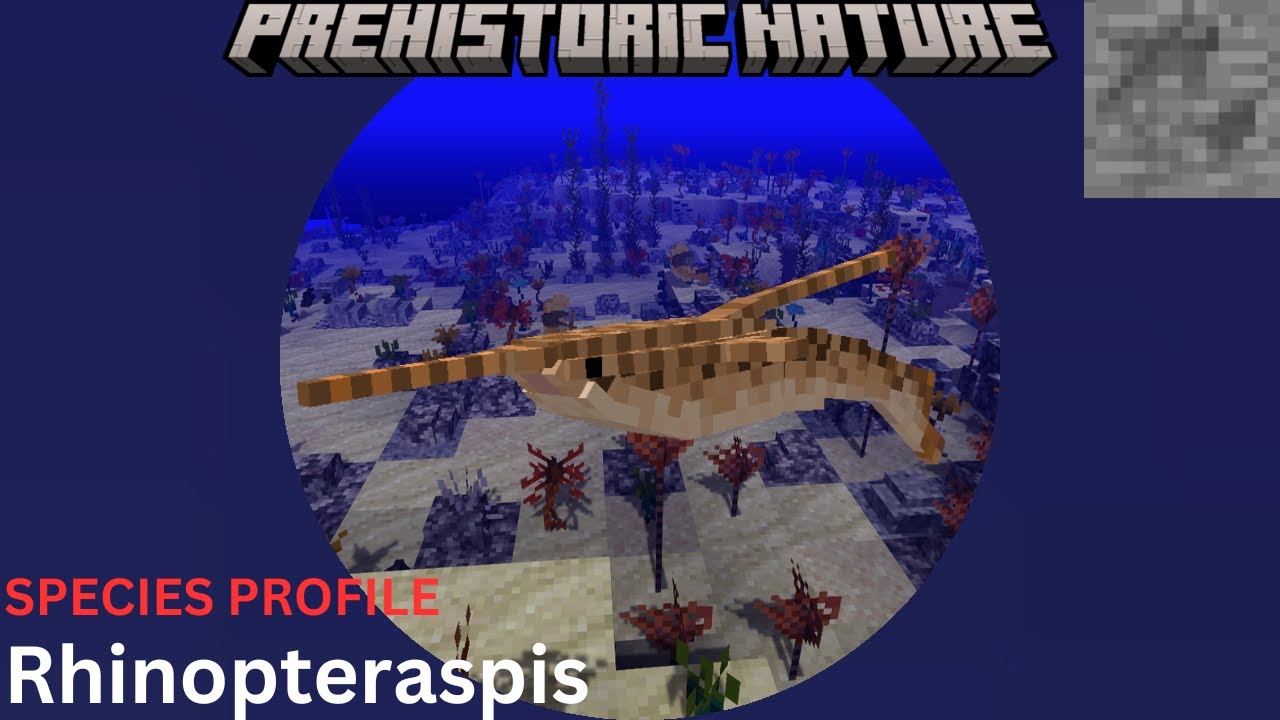 Prehistoric nature - Rhinopteraspis species profile - YouTube