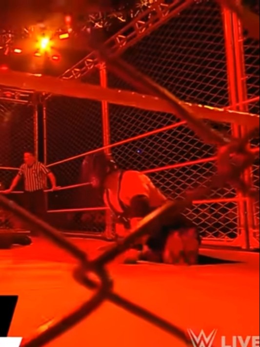 WWE Under Ring Secrets Exposed | #wwe #wrestling #romanreigns - YouTube