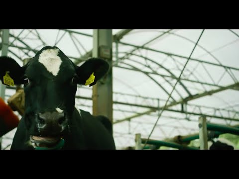 Connected Cows: Bridging the Urban-Rural Divide - YouTube