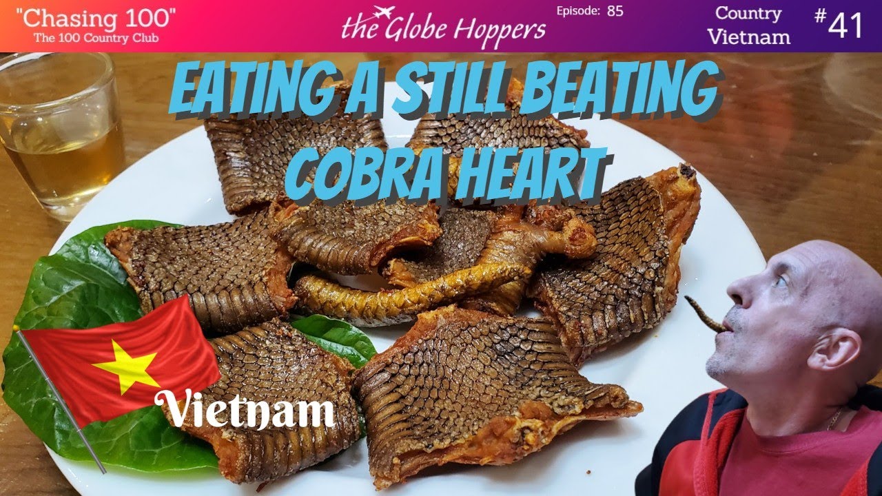 Eating a Cobra At The Hung Family Snake Restaurant in Hanoi Vietnam ...