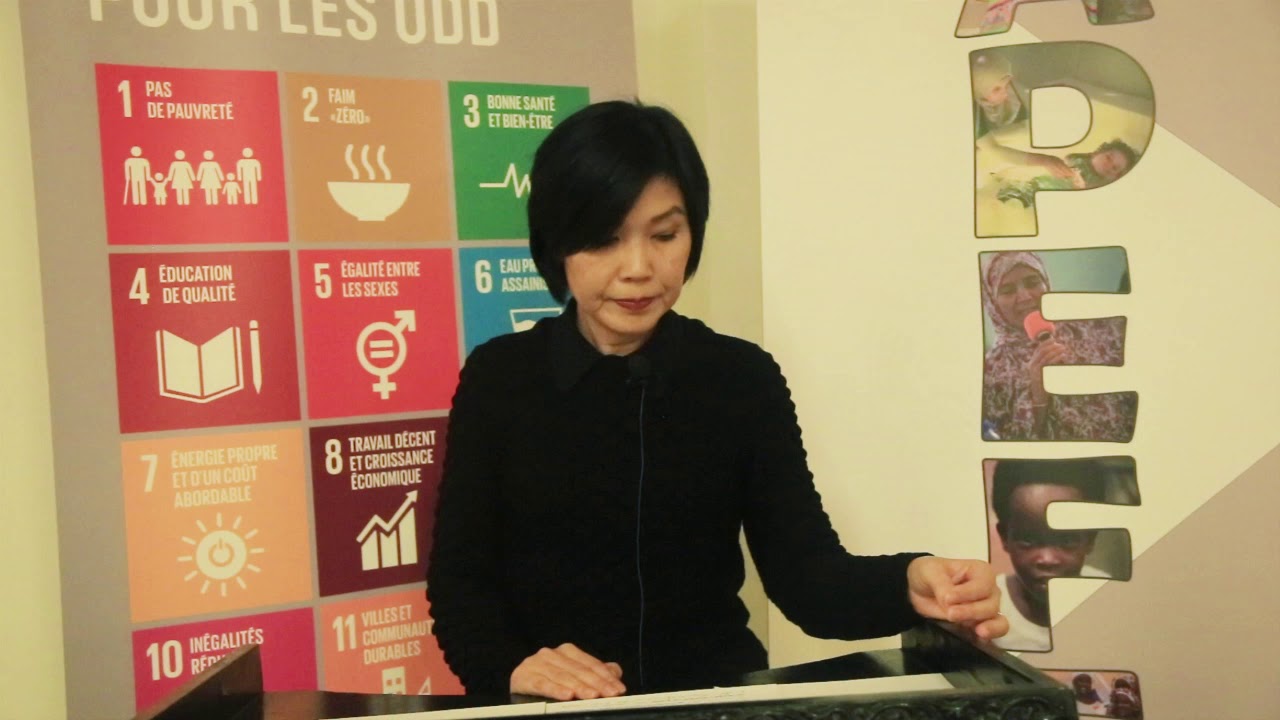 Présentation des activités de l'APEFE au Sénégal 2017-2021 - programme IFADEM - YouTube