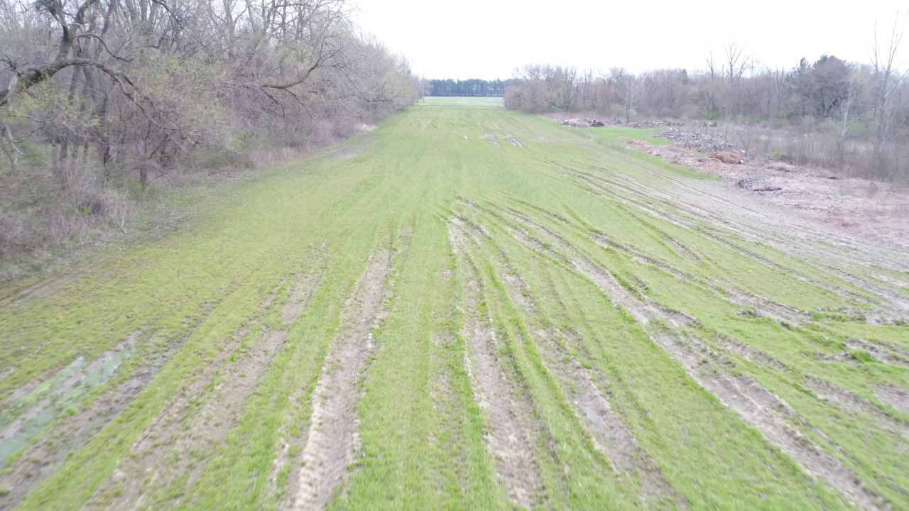 Field test Michigan Crop Improvement - YouTube
