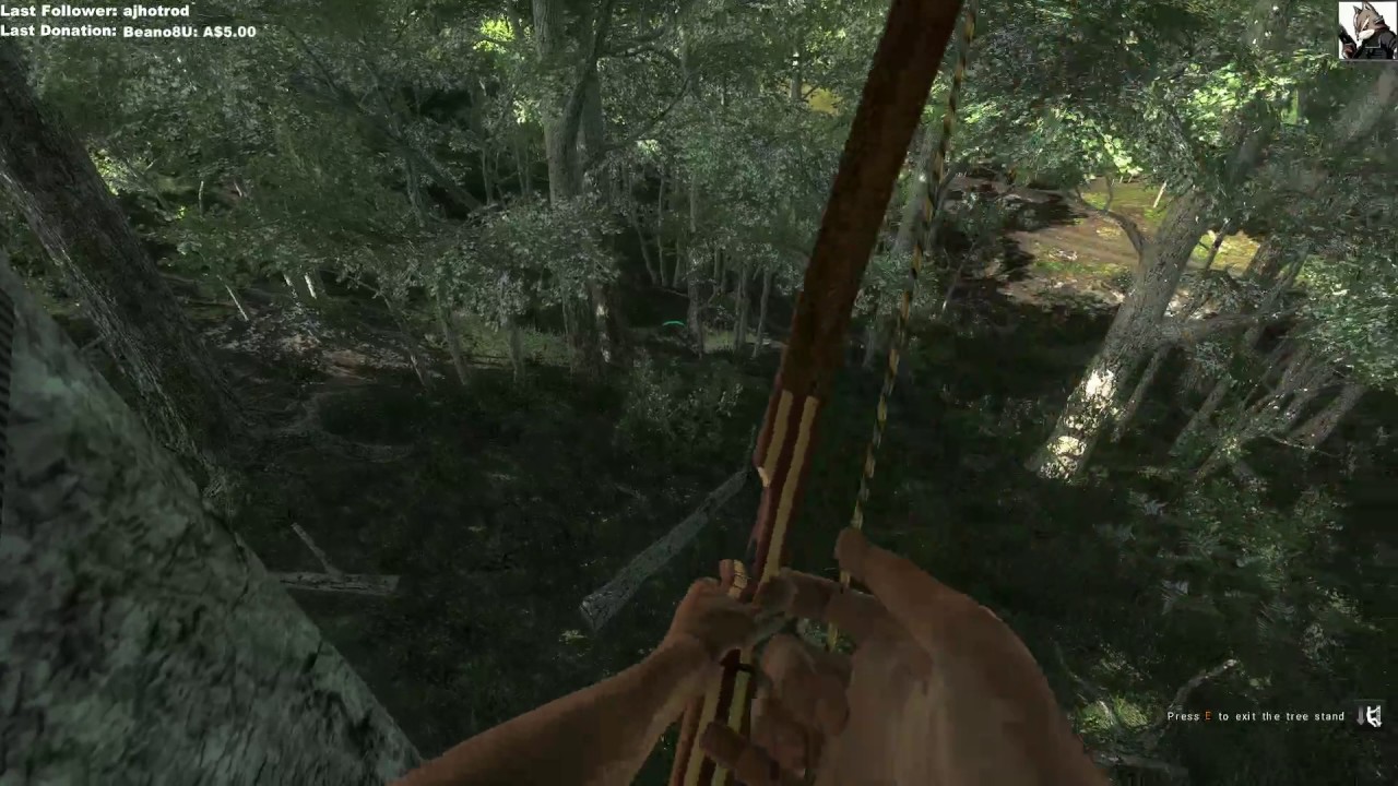 Ravenous_fox streaming TheHunter - YouTube