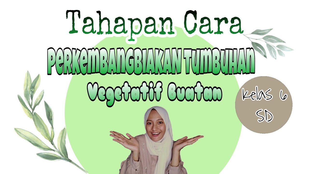 Tahapan Cara Vegetatif Buatan (mencangkok, stek, merunduk, okulasi dan ...