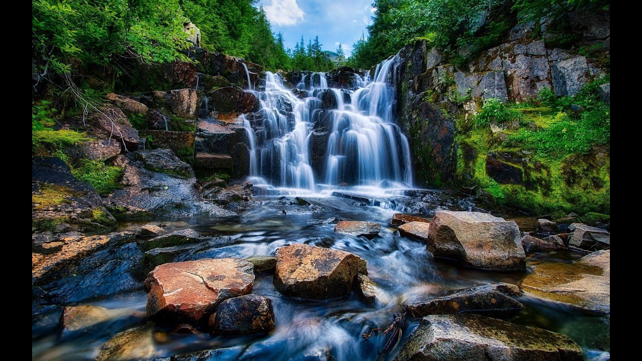 Relaxing Jungle Oasis Cascade 24/7 Stream - Study Time, Breaks, Rest ...