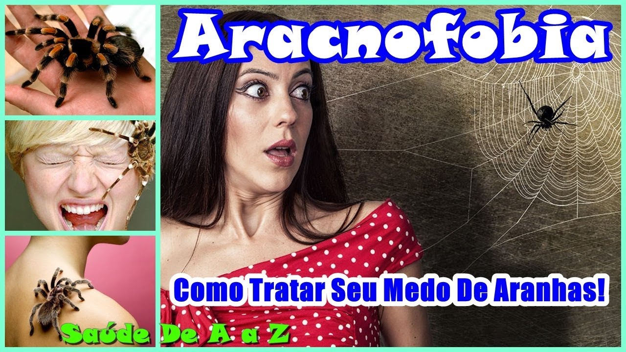 ARACNOFOBIA Como Superar O Seu Medo De Aranhas, Aprenda Como Curar ...