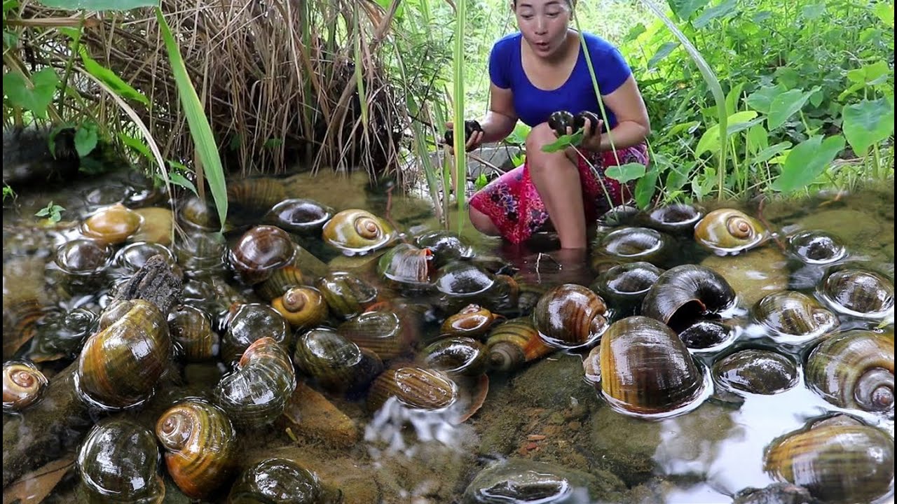 Adventure catch and cook snail of survival- Boiled snail with chili ...