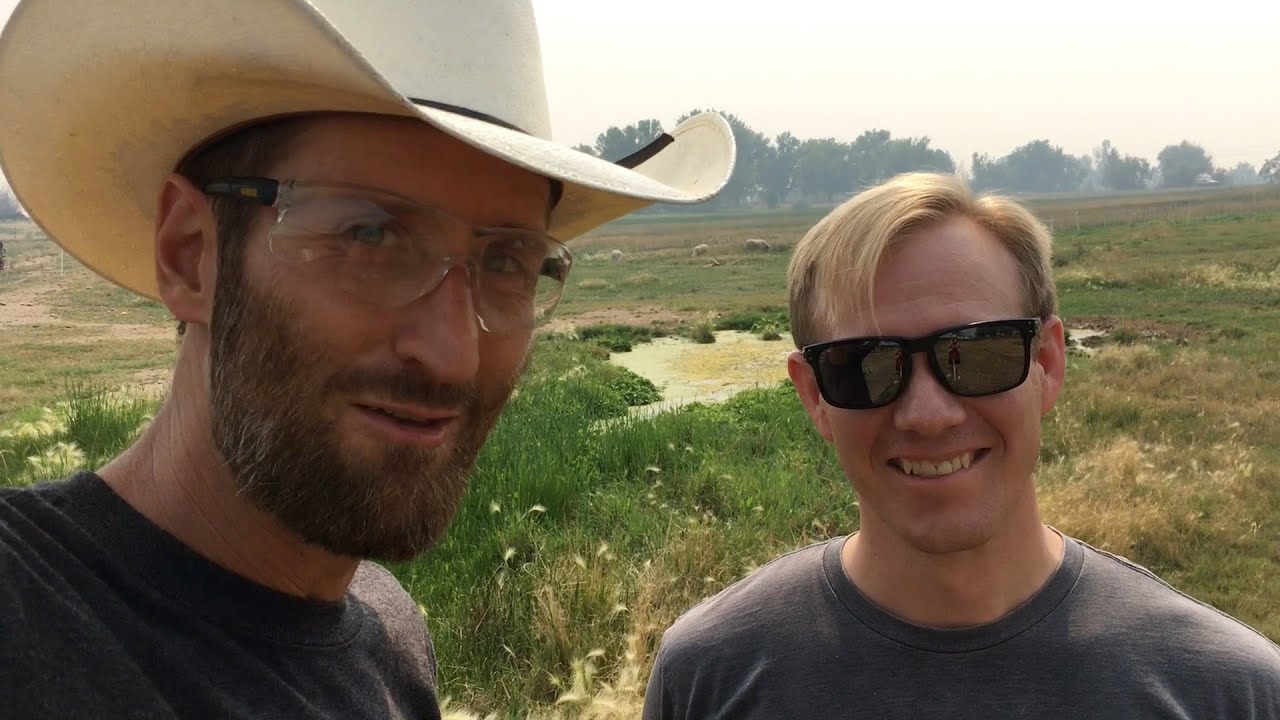 Sheep Wrangling at the Farm Ranch Homestead with Chad! - YouTube