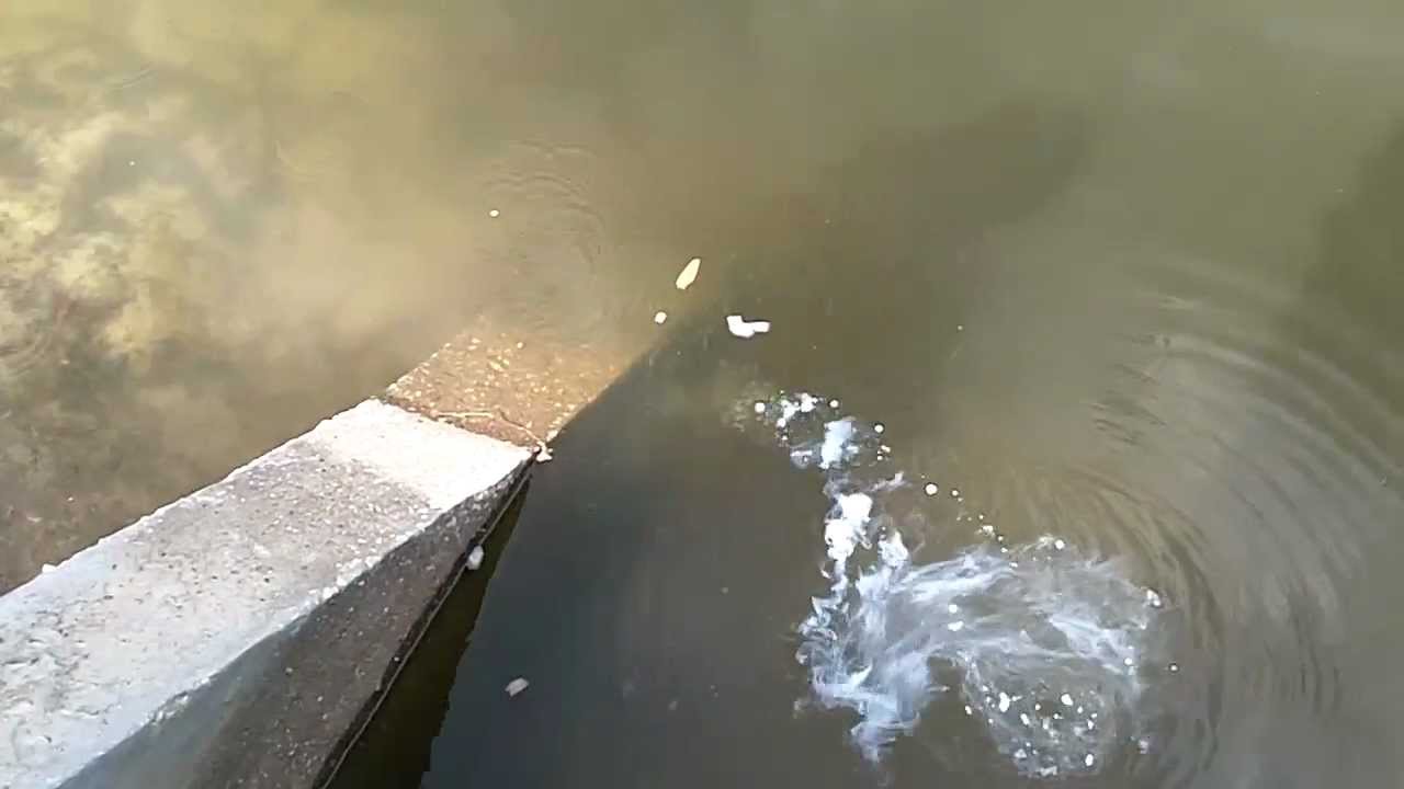 Bottle Rockets Underwater - YouTube