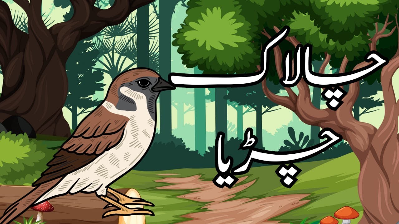 Challak Chria Story / Clever Sparrow Story / چالاک چڑیا - YouTube