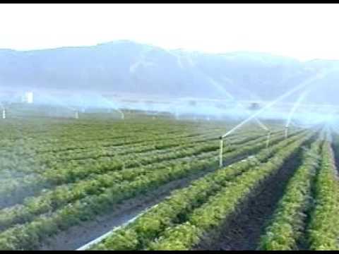 Irrigation Express - Nelson R2000 Wind Fighter Sprinkler