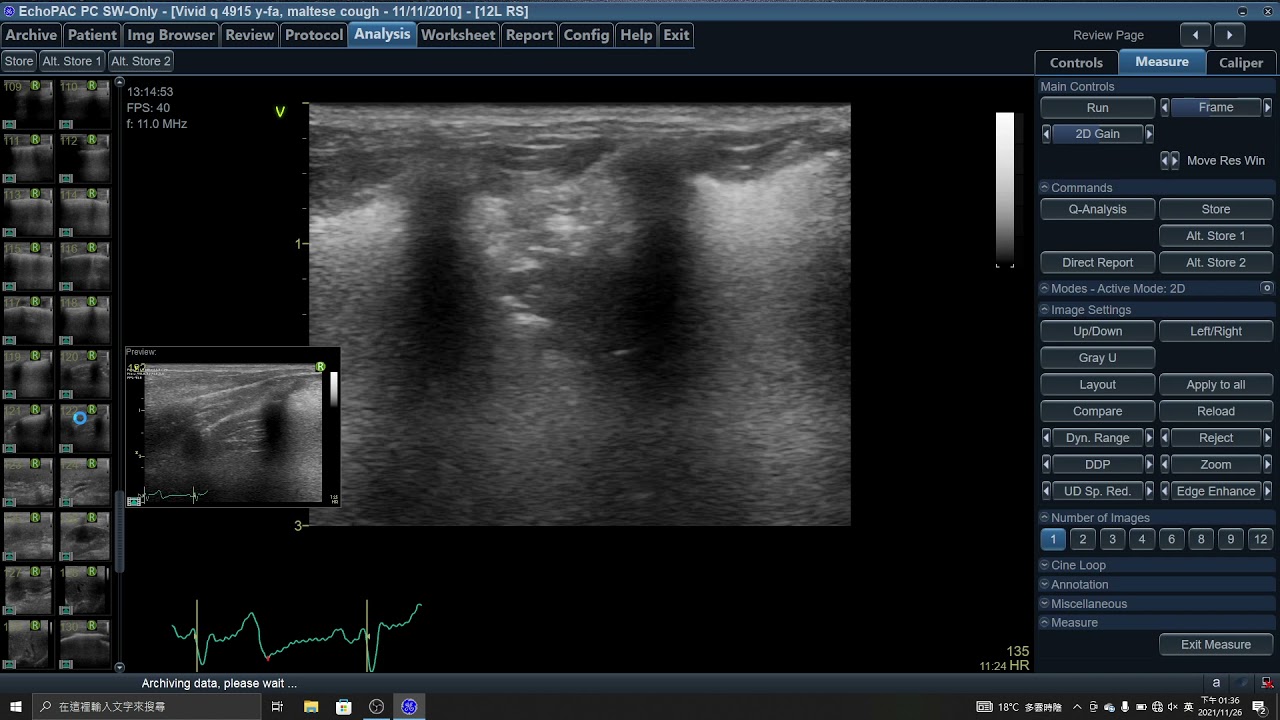 4915 TFAST , small animal lung ultrasound , dog , panting , - YouTube