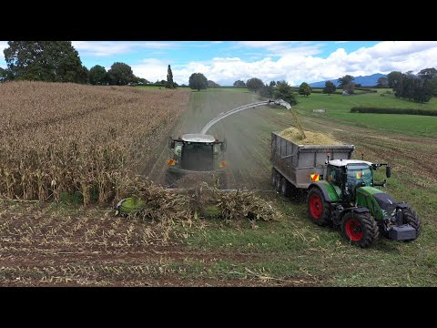 Maize Harvest 2023 Is All Go & GRASSMEN Are Here Filming Too!