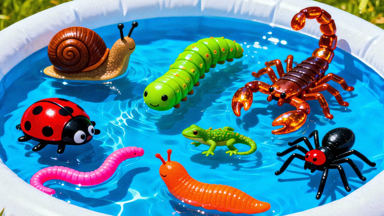 Crawling Animals Name for Kids🐍🐛 English Vocabulary Learning Video for ...