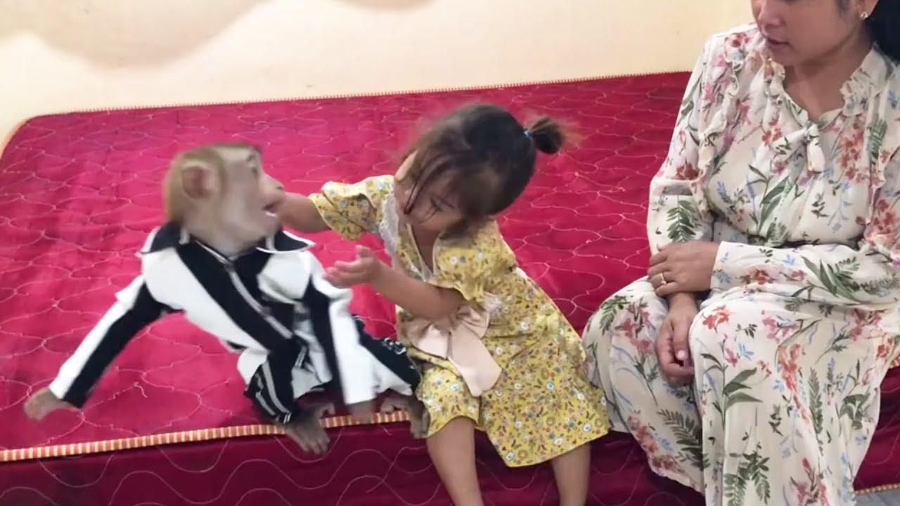 Sister Satya Loves Jason Cos Smart Monkey, Friendly - YouTube